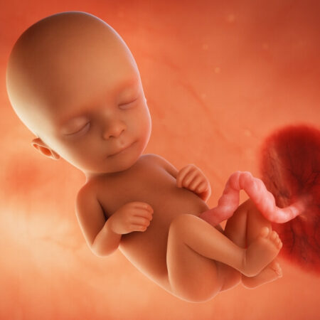 Fetal Development Week by Week: Milestones, Tests, and What to Expect