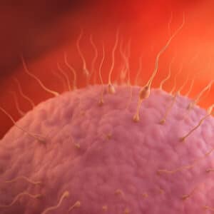 Fetal Development Week by Week: Milestones, Tests, and What to Expect